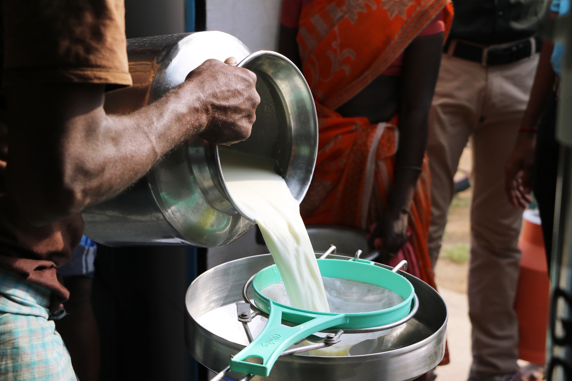 Milky Mist Joins Hands with MilkLane to Ensure Premium, Traceable Milk ...